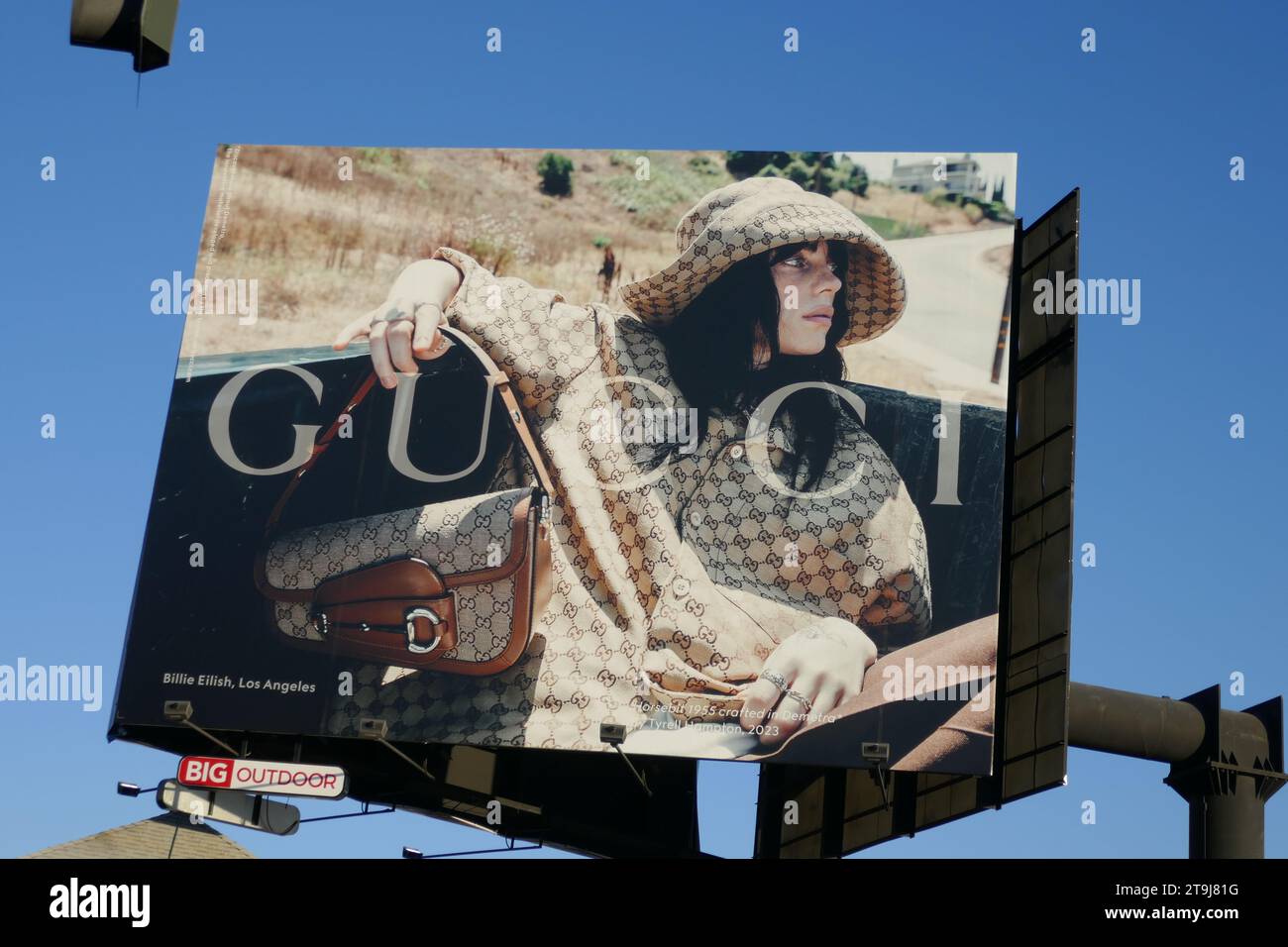 Los Angeles, California, USA 25th November 2023 Singer Billie Eilish ...