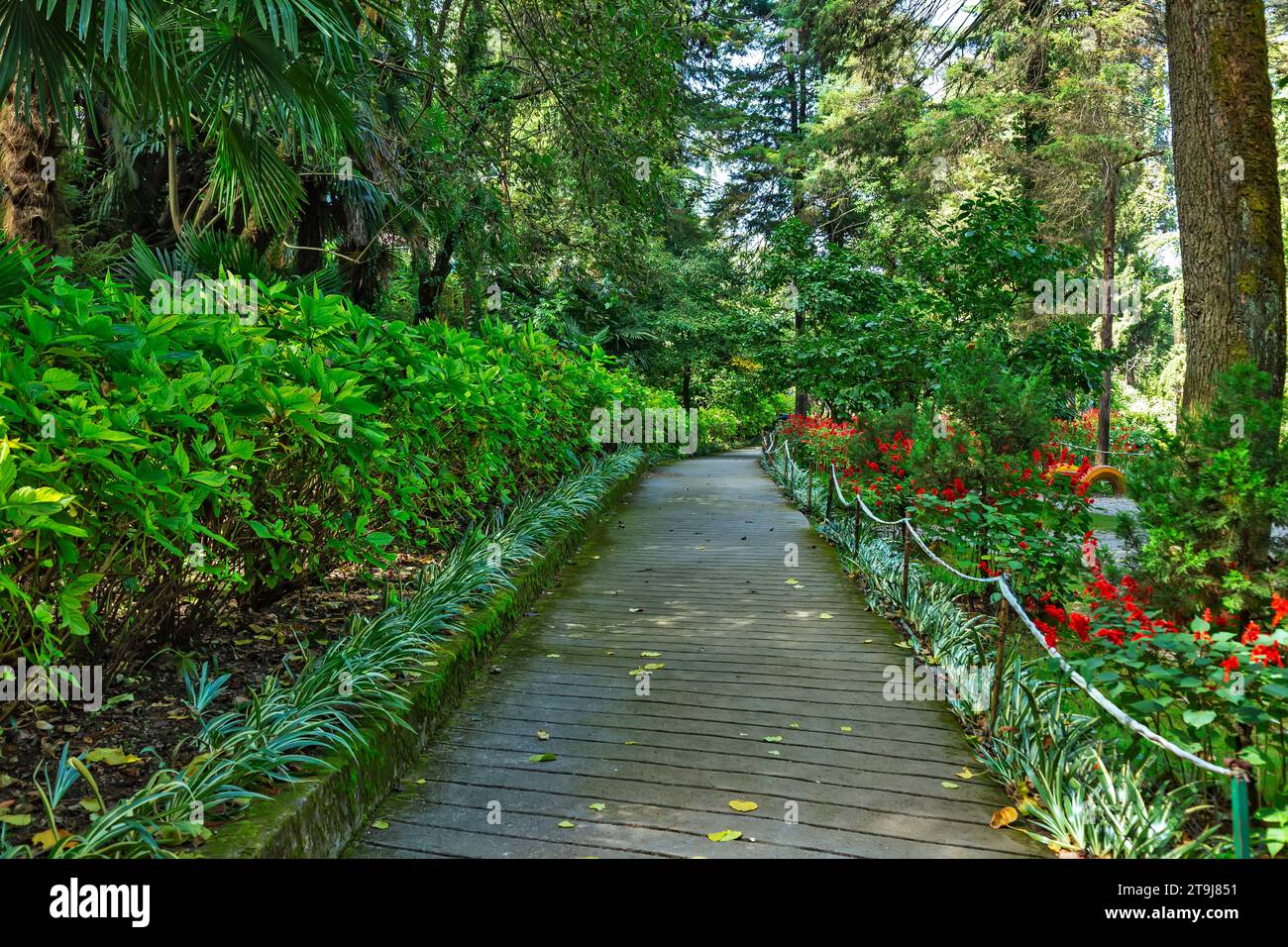 Beautiful scenic garden pathway hi-res stock photography and images - Alamy