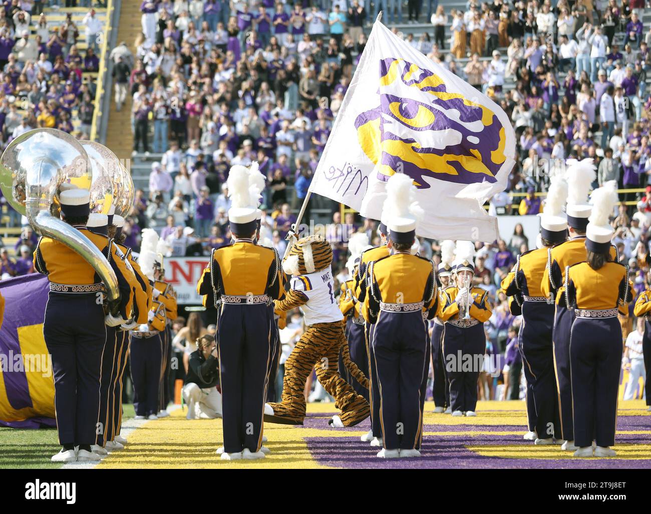 Mike the tiger hi-res stock photography and images - Alamy