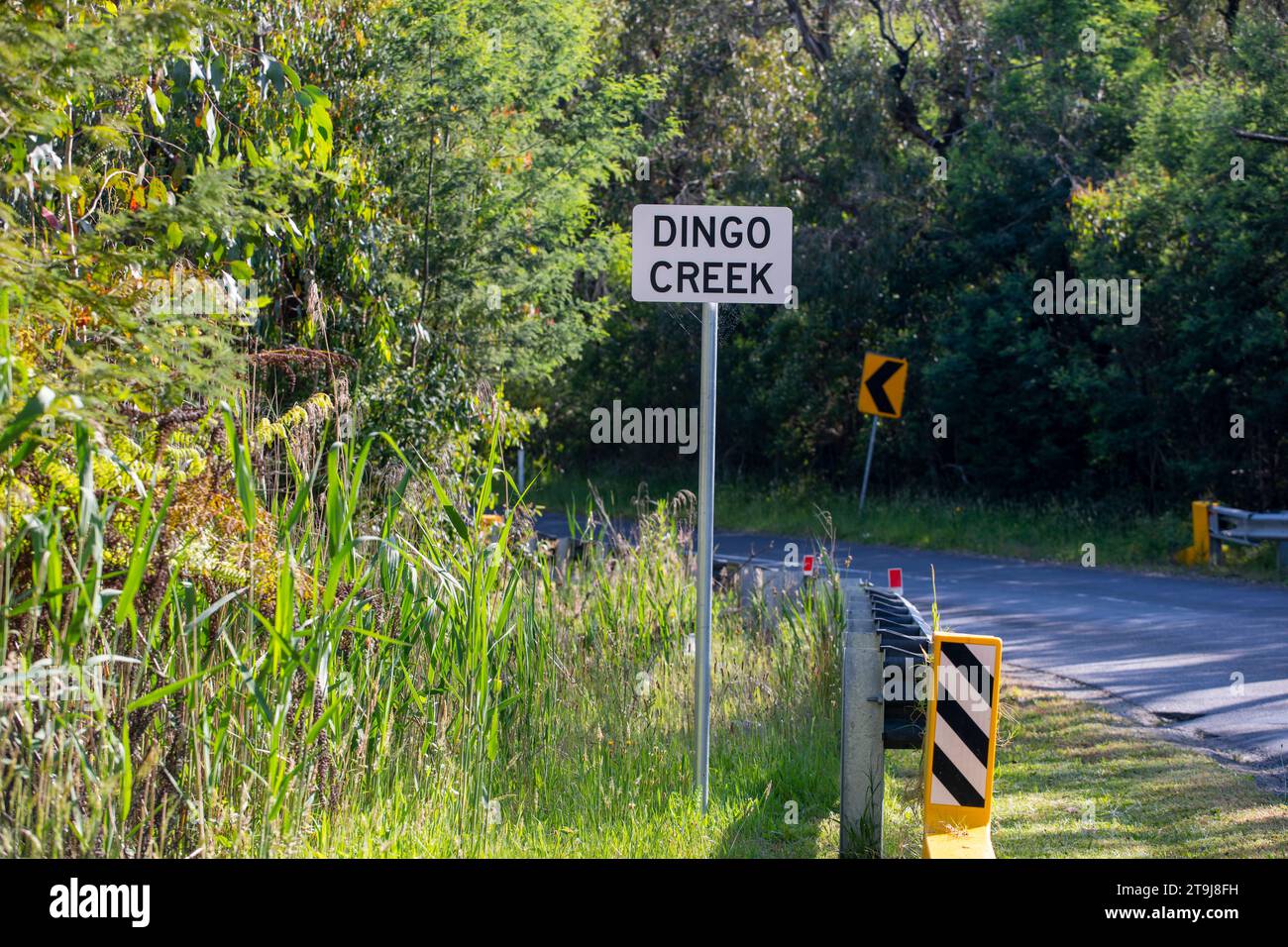 Dingo creek hi-res stock photography and images - Alamy