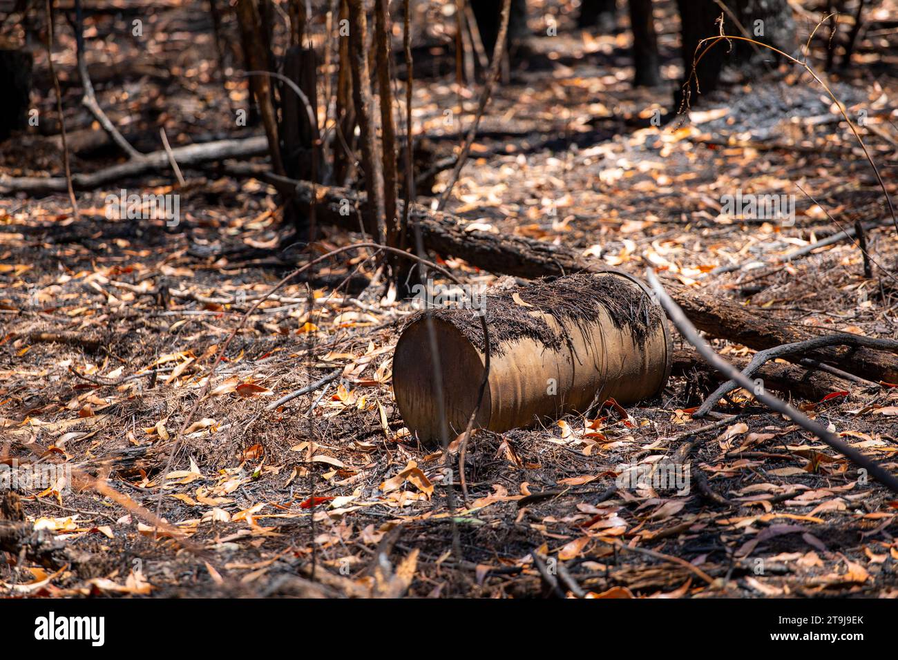 Burnt and blackened ground after bushfire with a metal barrel Stock ...