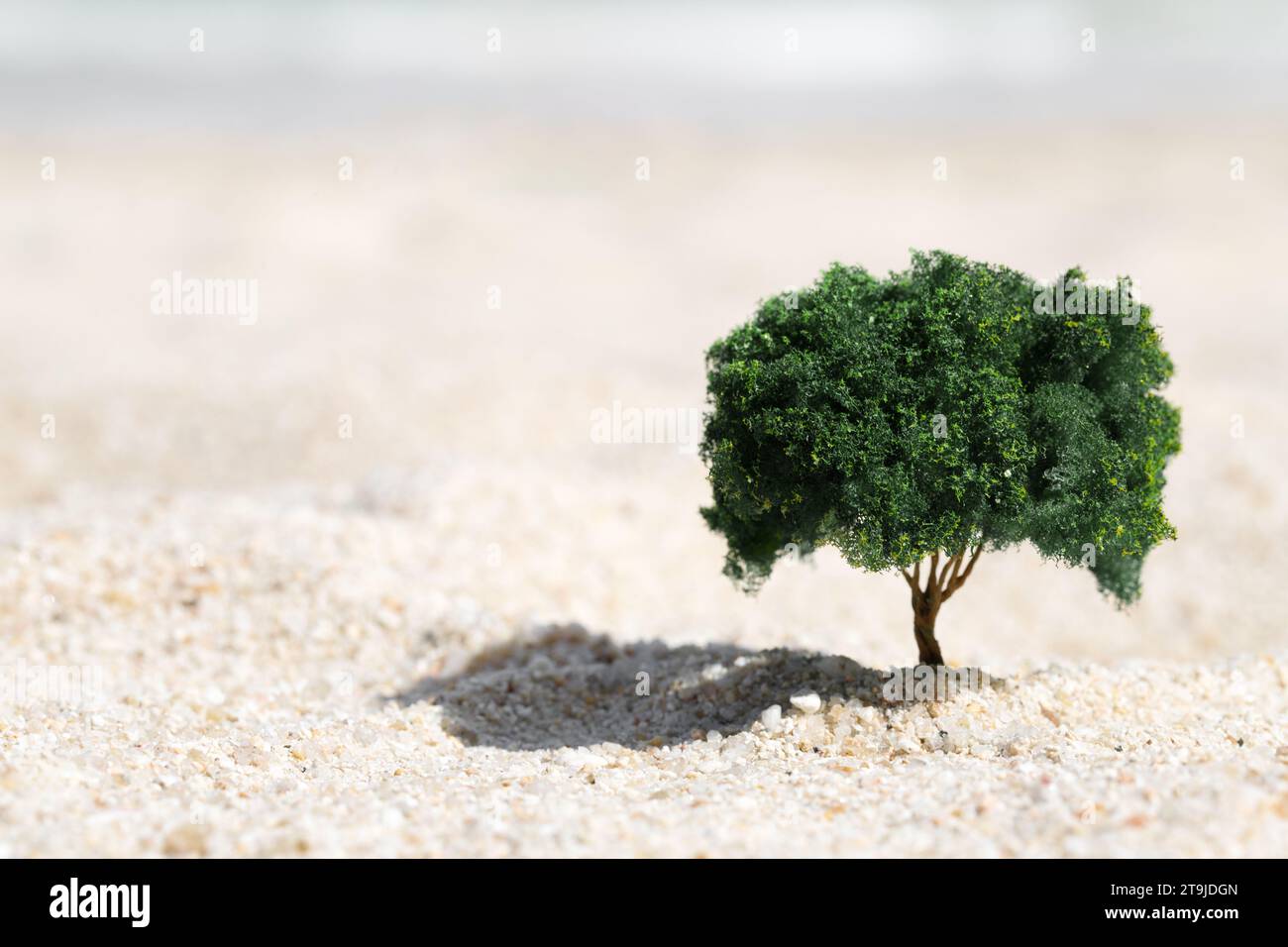 Small tree growing out of the sand in the desert. Concept of survival ...