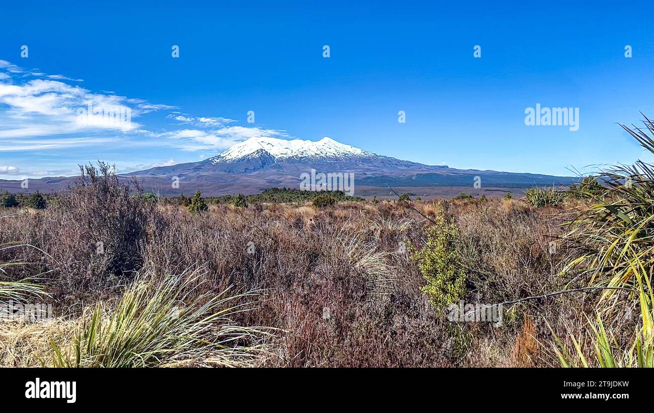 The volcanic terrain of the National Park in the western side of the ...