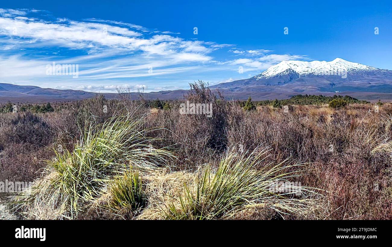The volcanic terrain of the National Park in the western side of the ...