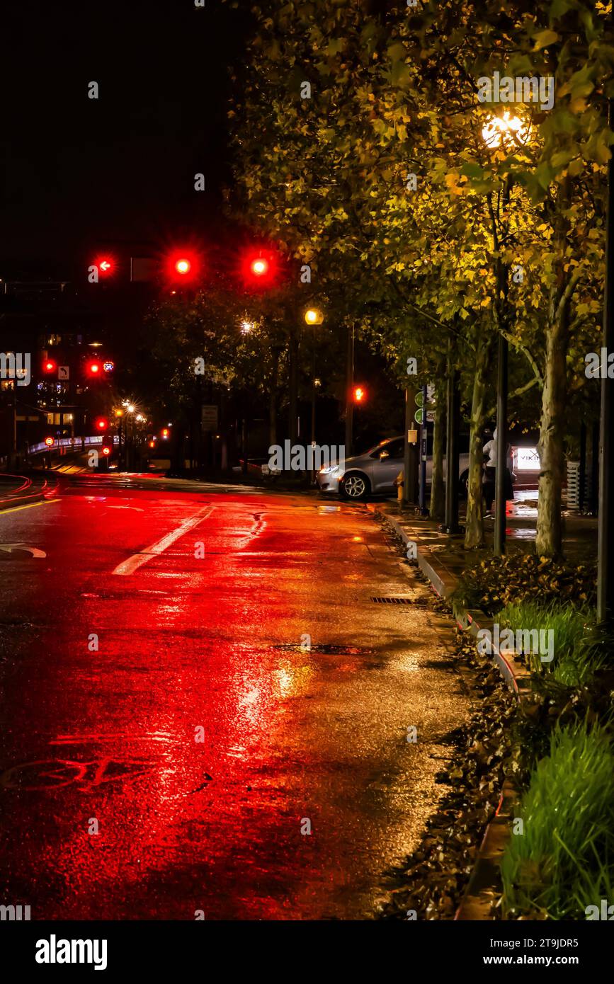 Street reflecting traffic lights during a rainy night on the streets of ...