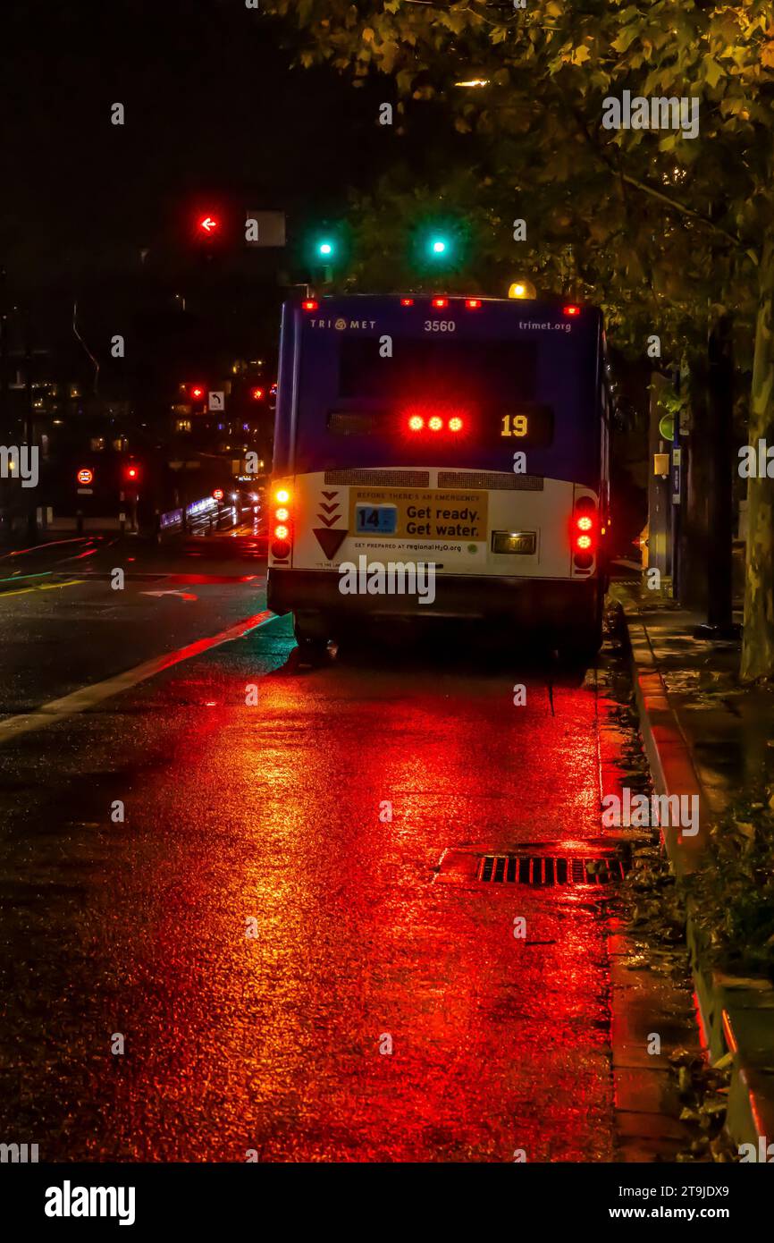 Reflections of bus taillights on a rainy night on the streets of ...