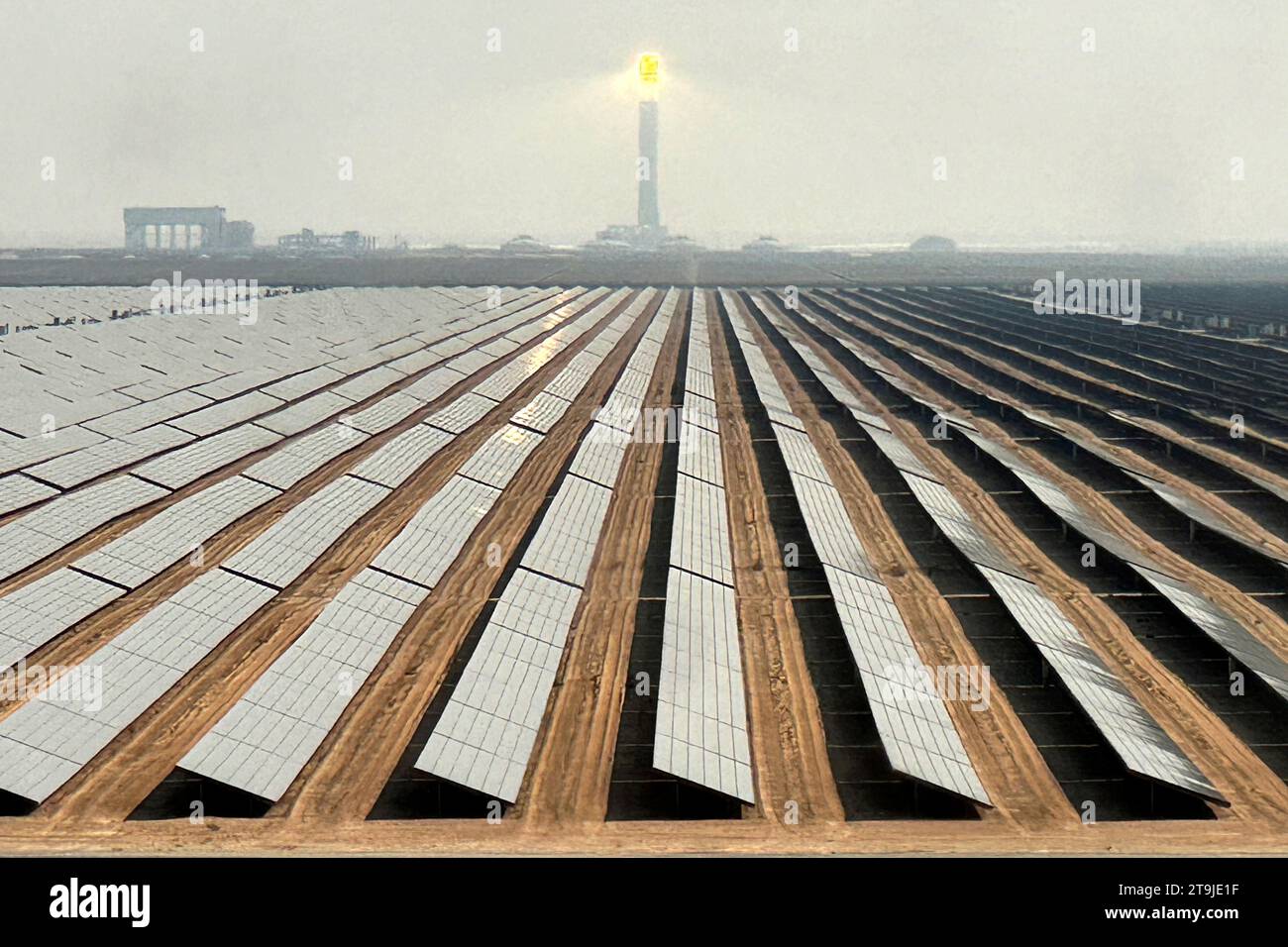 Solar panels at Mohammed bin Rashid Al Maktoum Solar Park and its solar ...