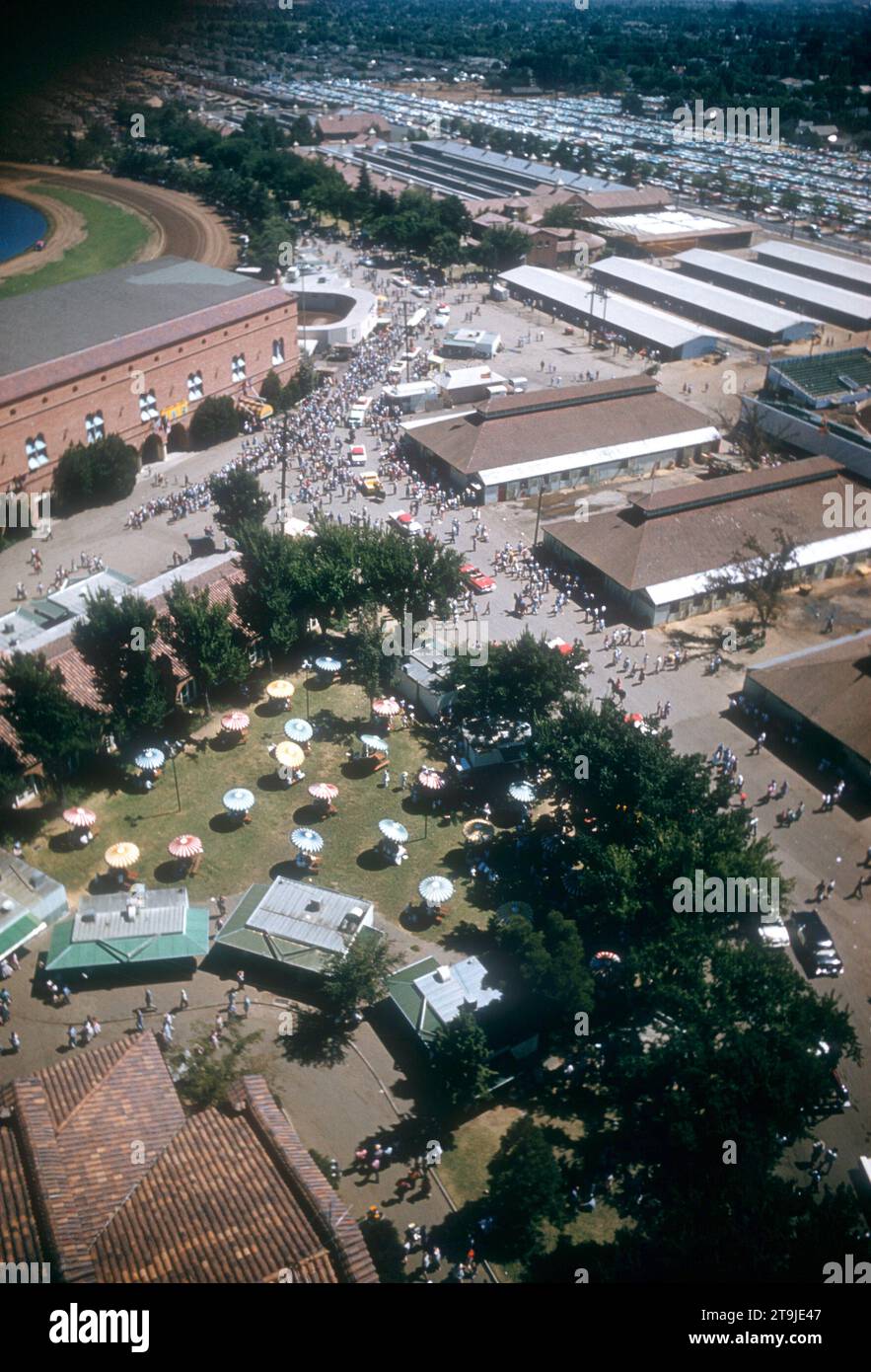 Sacramento state fair peskin hi-res stock photography and images - Alamy