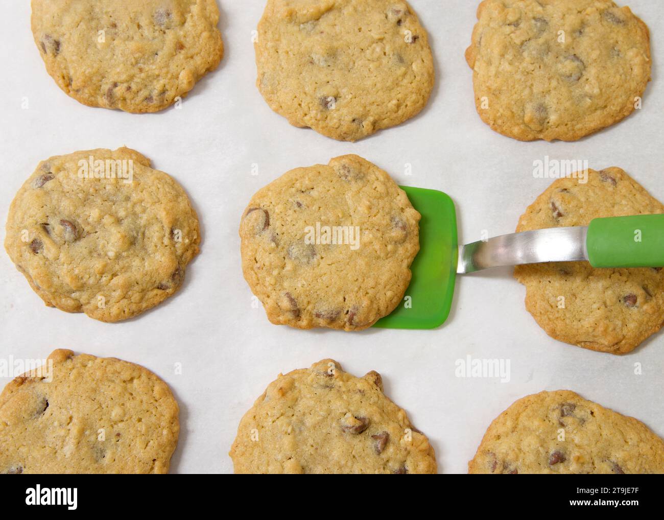 Rows of freshly baked oatmeal chocolate chip cookies on parchment paper ...
