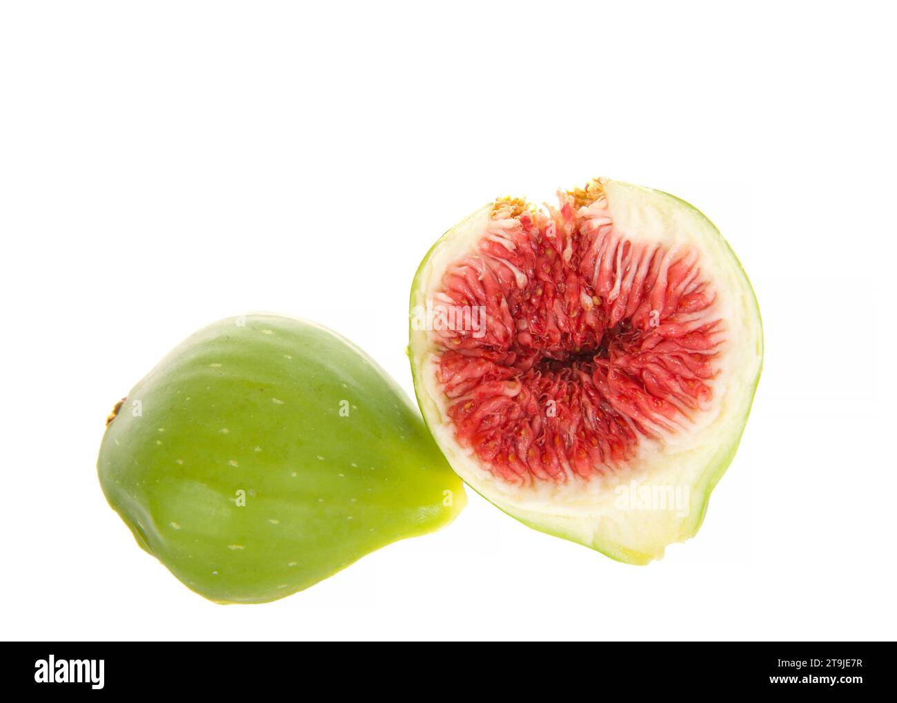 Fresh fig split in half before ripening, swollen unripened fruit ...