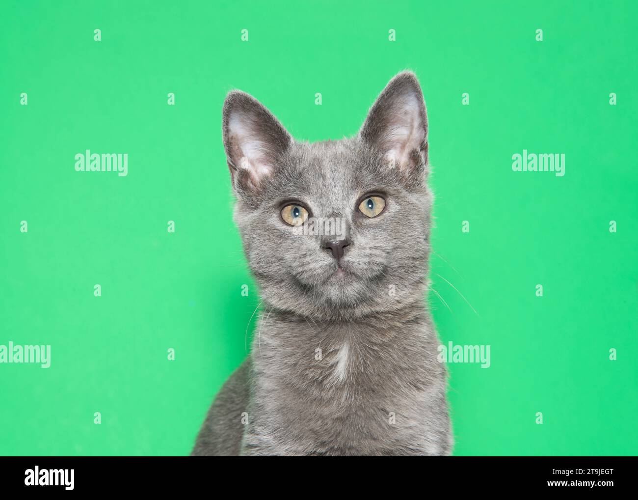 Tuff gray hi-res stock photography and images - Alamy