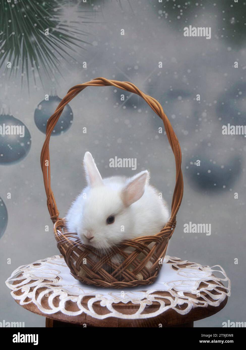 Cute rabbit in christmas hi-res stock photography and images - Alamy