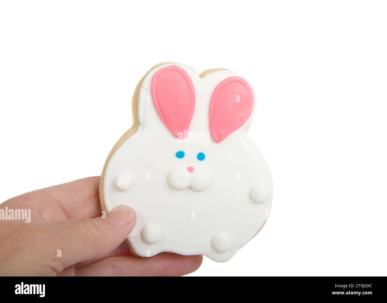 Hand holding one Easter sugar cookie shaped like a round bunny rabbit ...