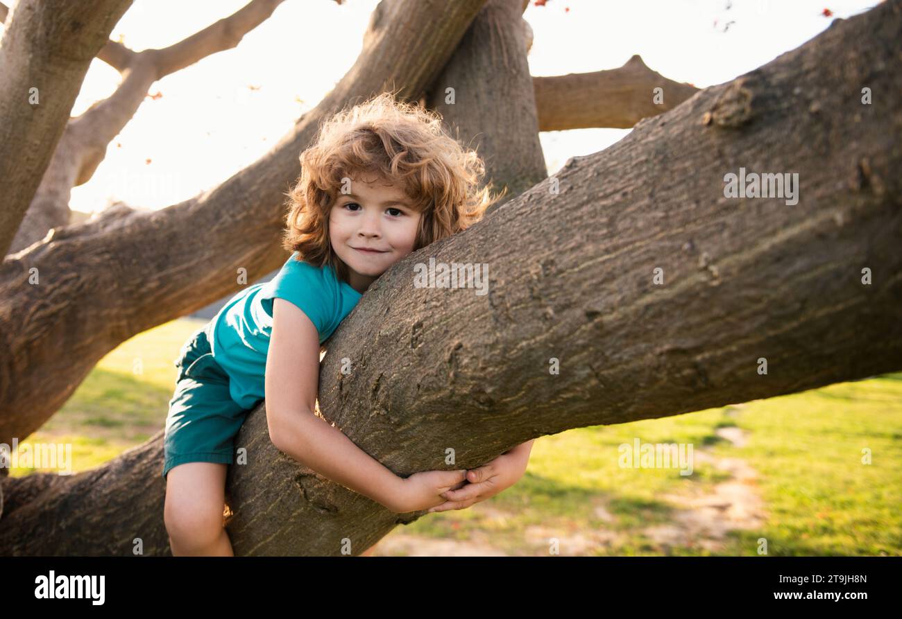 Child climbing a tree. Cute caucasian kid boy happily lying in a tree ...