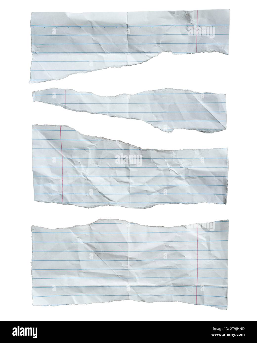 Torn lined notebook paper on white background with clipping path Stock ...