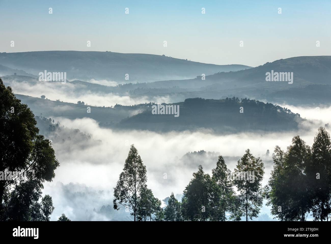 Uganda & Rwanda Stock Photo - Alamy