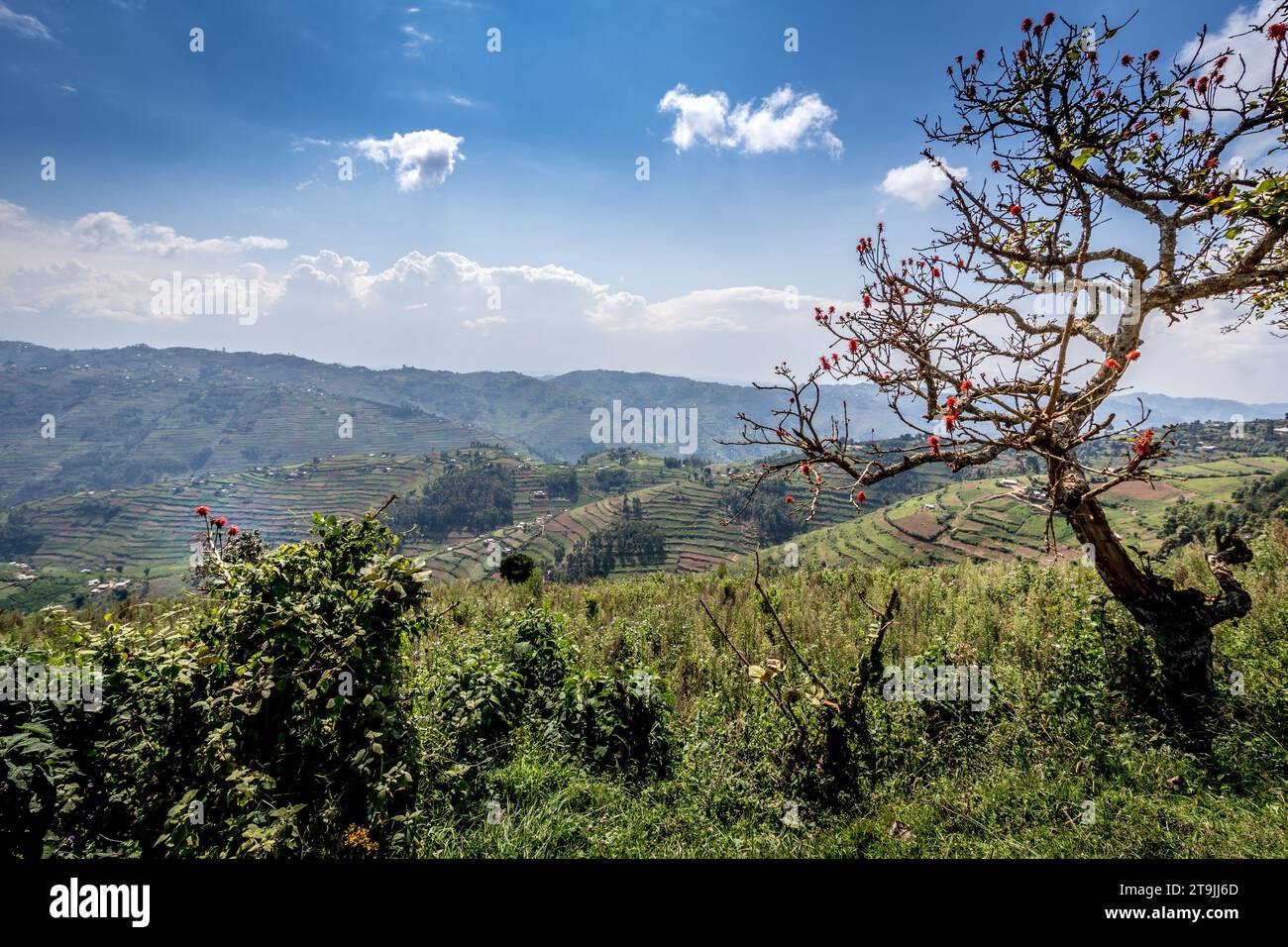 Uganda & Rwanda Stock Photo - Alamy