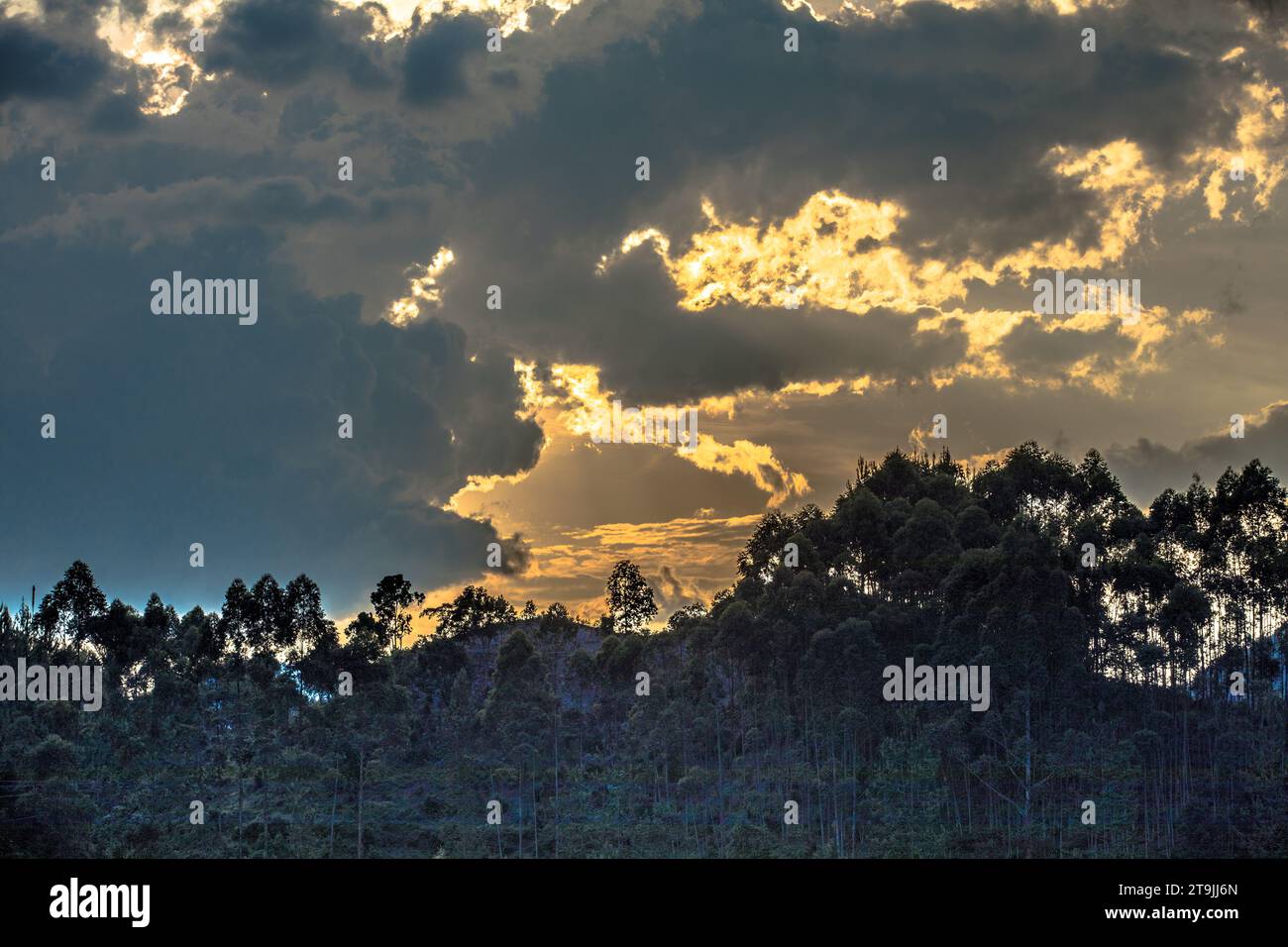 Uganda & Rwanda Stock Photo - Alamy
