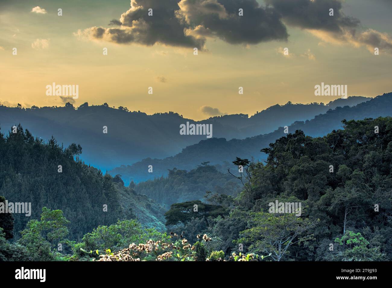 Uganda & Rwanda Stock Photo - Alamy