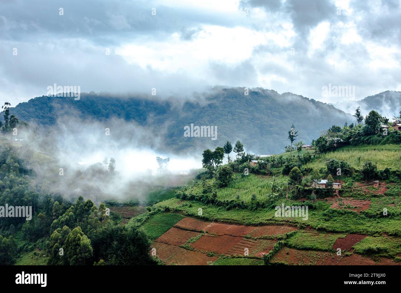 Uganda & Rwanda Stock Photo - Alamy