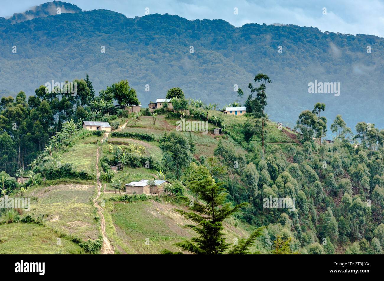 Uganda & Rwanda Stock Photo - Alamy