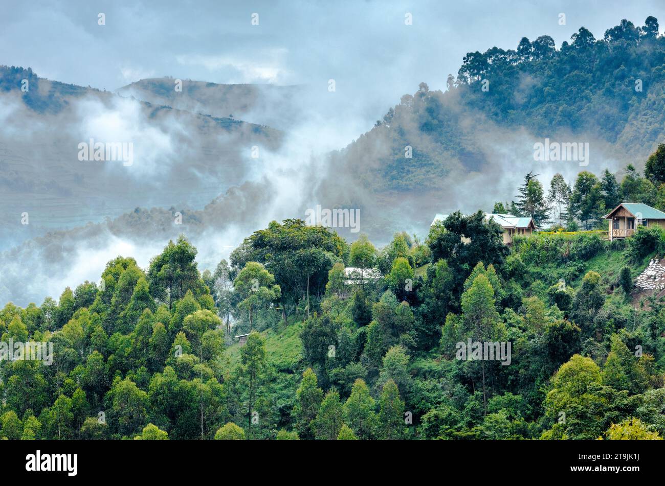 Uganda & Rwanda Stock Photo - Alamy