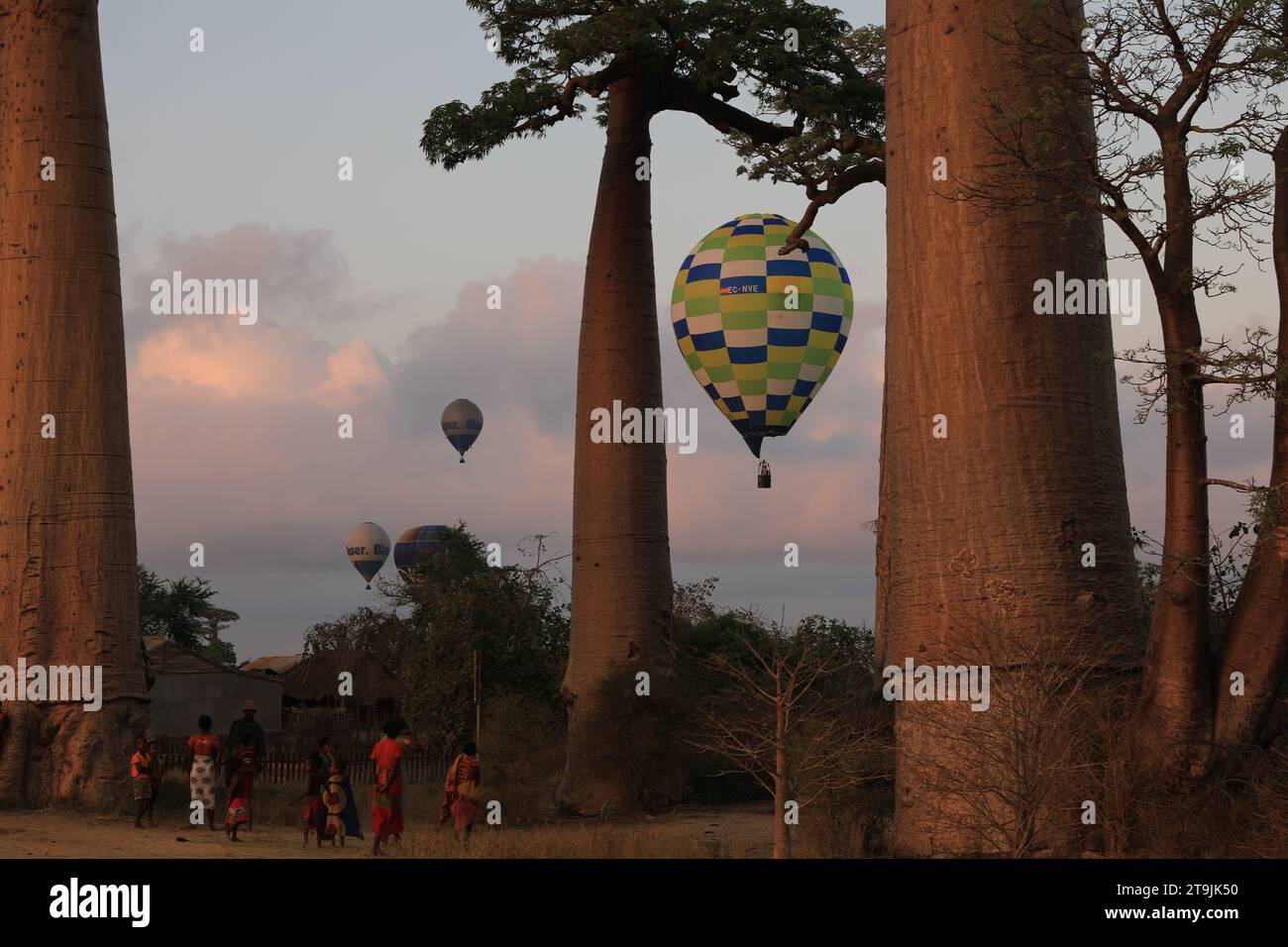 Madagascar 2023 hi-res stock photography and images - Alamy