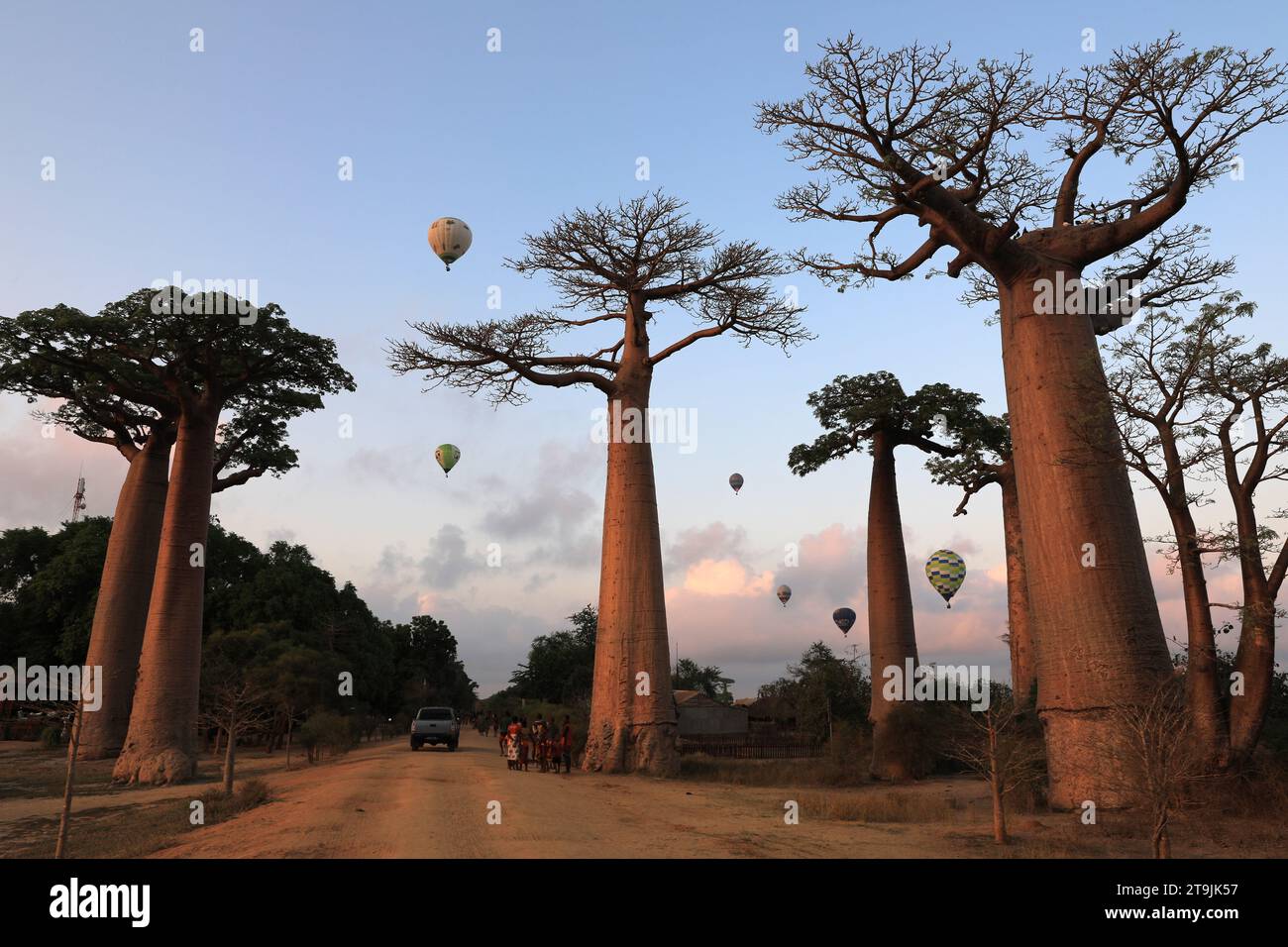 Madagascar 2023 hi-res stock photography and images - Alamy