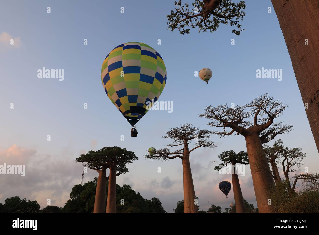 Madagascar 2023 hi-res stock photography and images - Alamy
