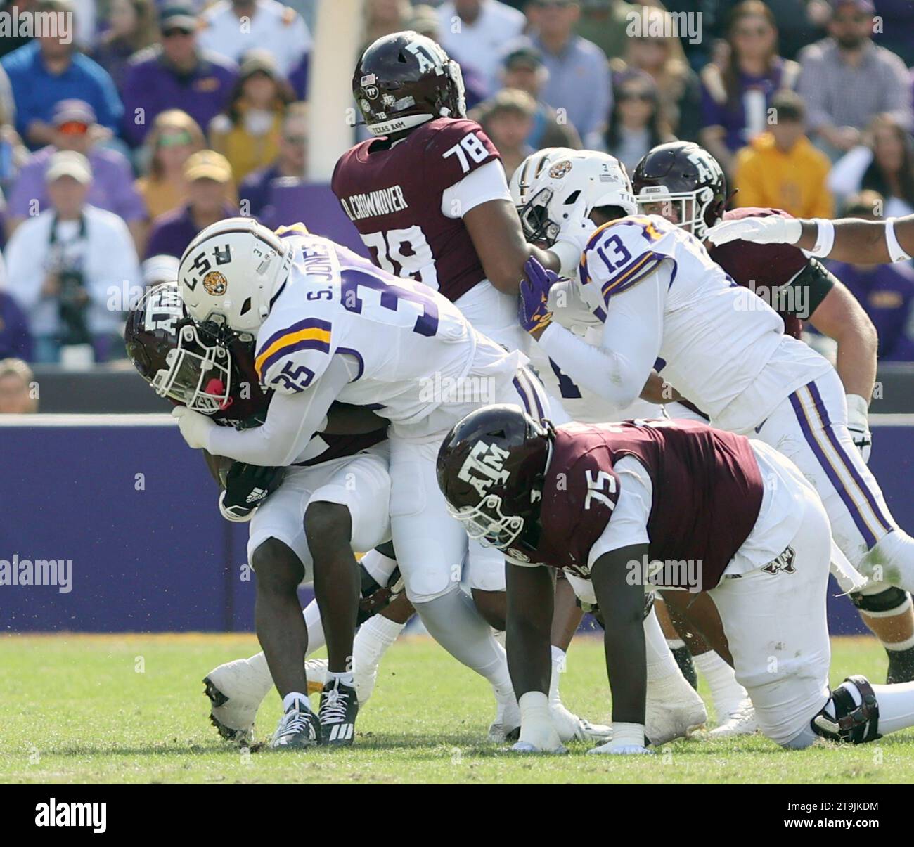 Baton Rouge, USA. 25th Nov, 2023. LSU Tigers defensive end Sai'vion ...