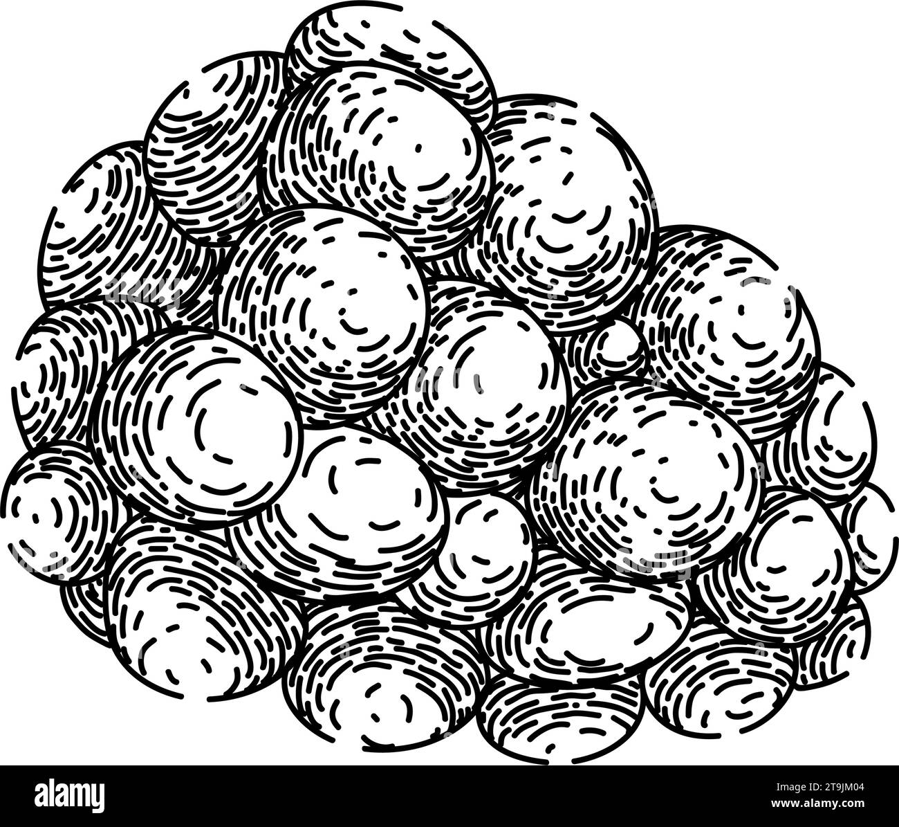 Blackberry harvest Black and White Stock Photos & Images - Alamy