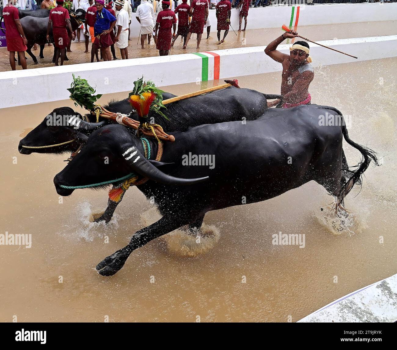 Bengaluru, Bengaluru. 25th Nov, 2023. A racer sprints with a pair of ...