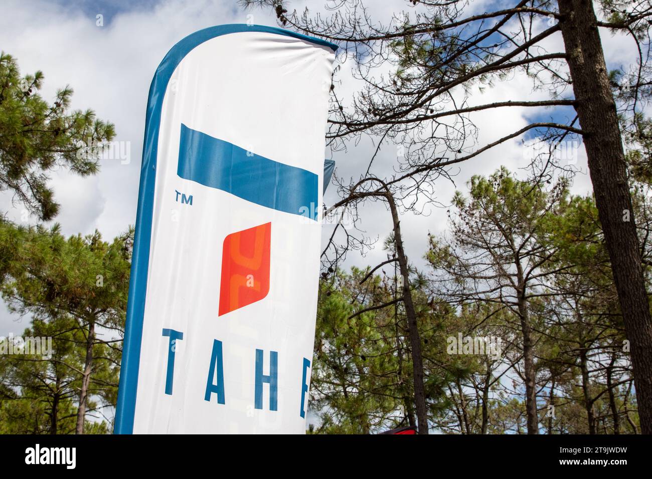 Bordeaux , France - 11 20 2023 : TAHE logo brand and text sign group ...