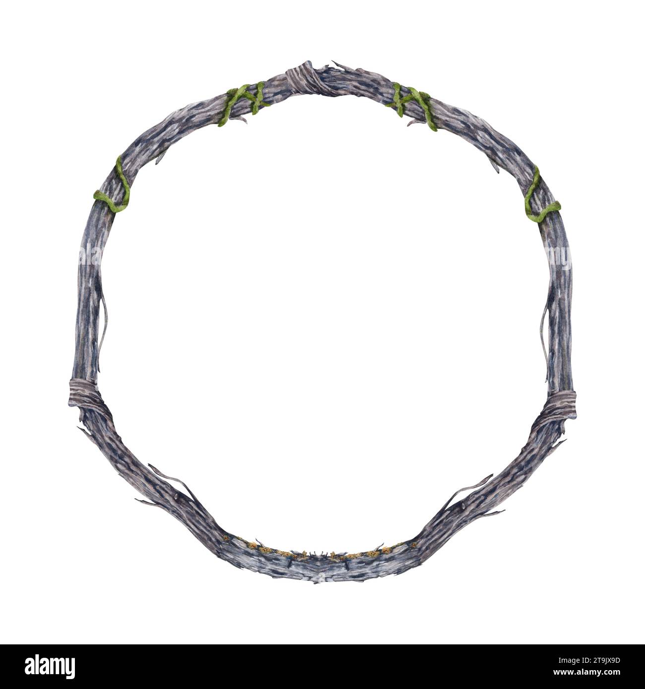 Wreath composition with old grape vine branches. Watercolor ...