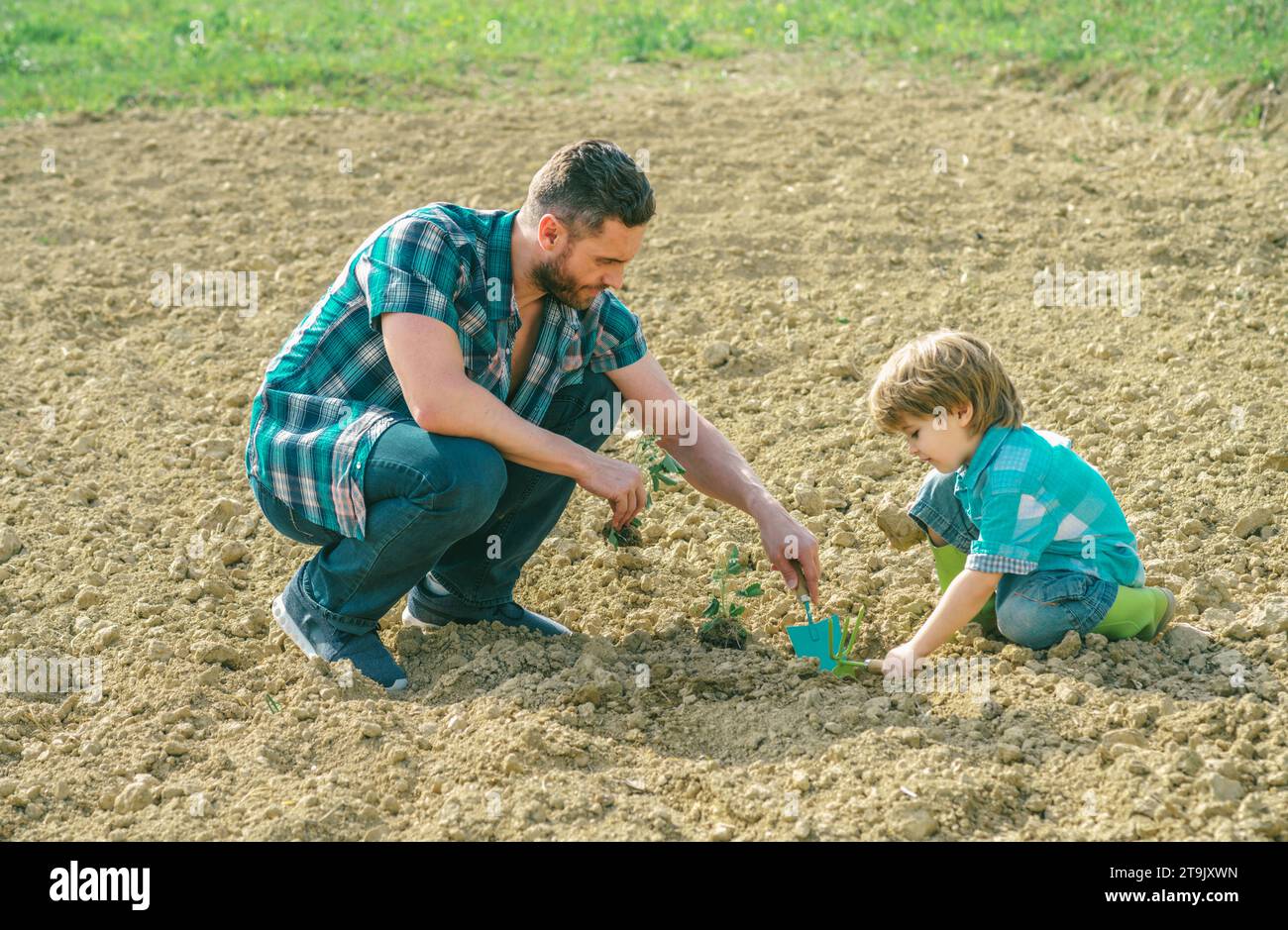 The little boy son and a father plant a tree. Father and son gardening ...