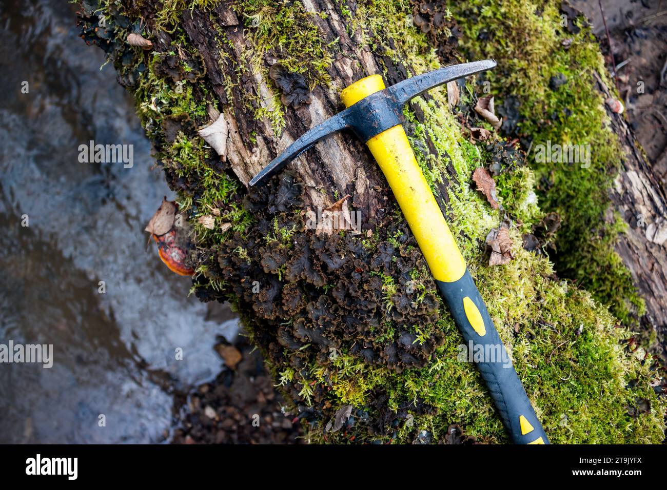 A metal pickaxe with a plastic handle lying on a moss-covered and ...