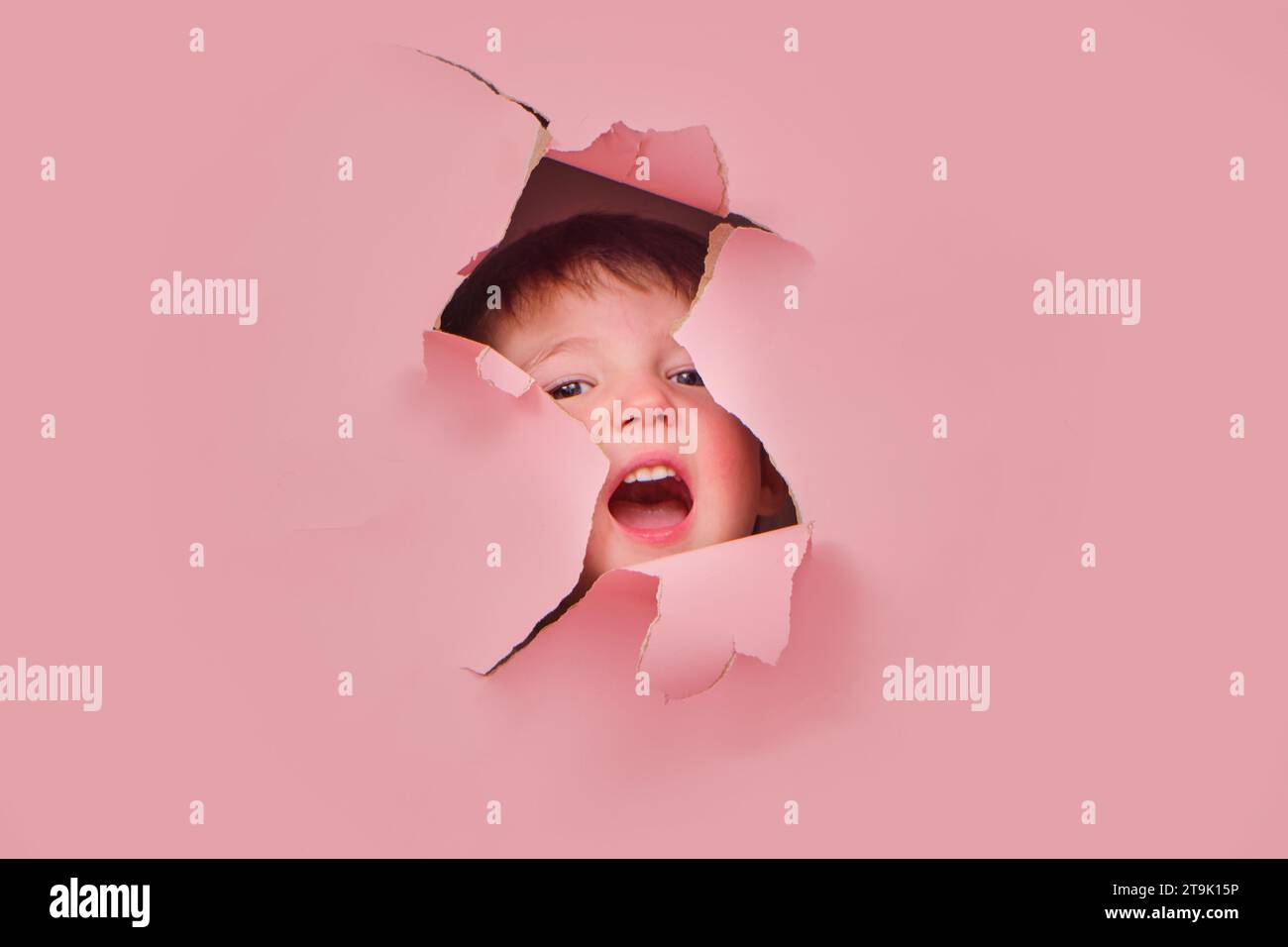 Screaming baby in a hole on a paper pink background. Torn studio ...