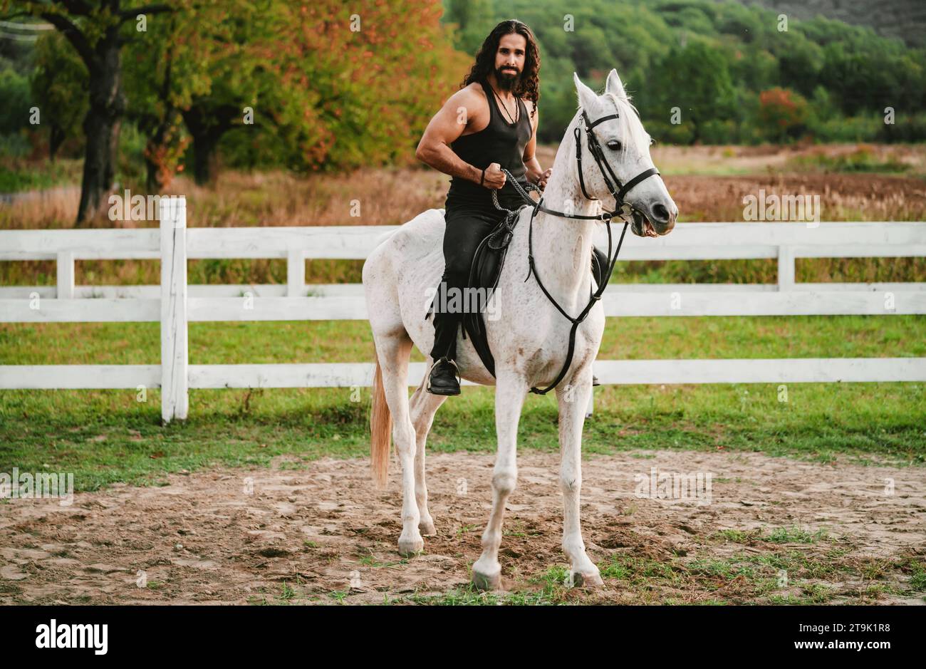 Rider on gray arabian horse in the field. Handsome bearded man riding ...