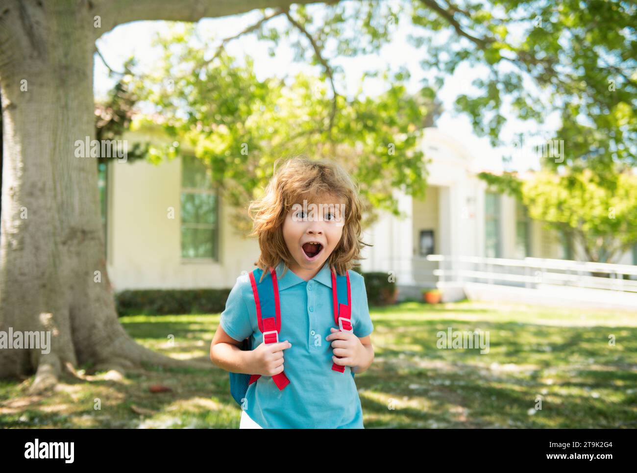Back to school. Excited child ready for primary school. Amazed pupil on first day of classes ...