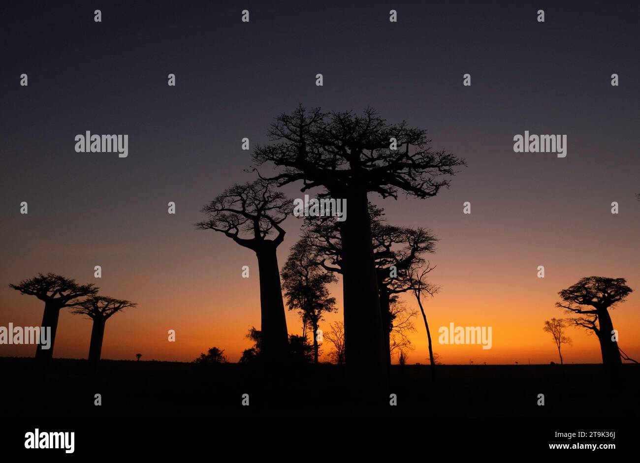 Madagascan sunset hi-res stock photography and images - Alamy