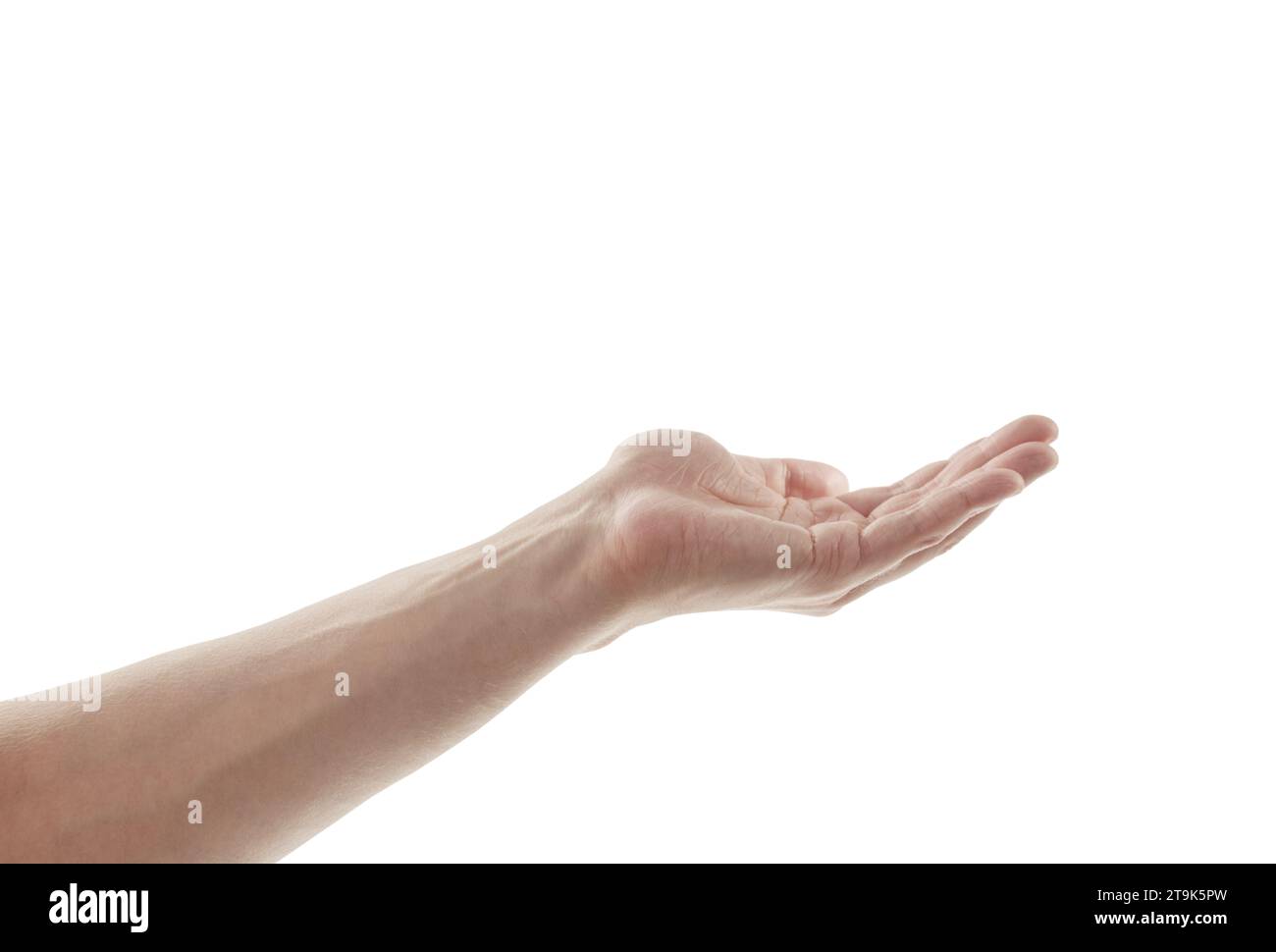 Man hand to hold something isolated on white background, photo for ...