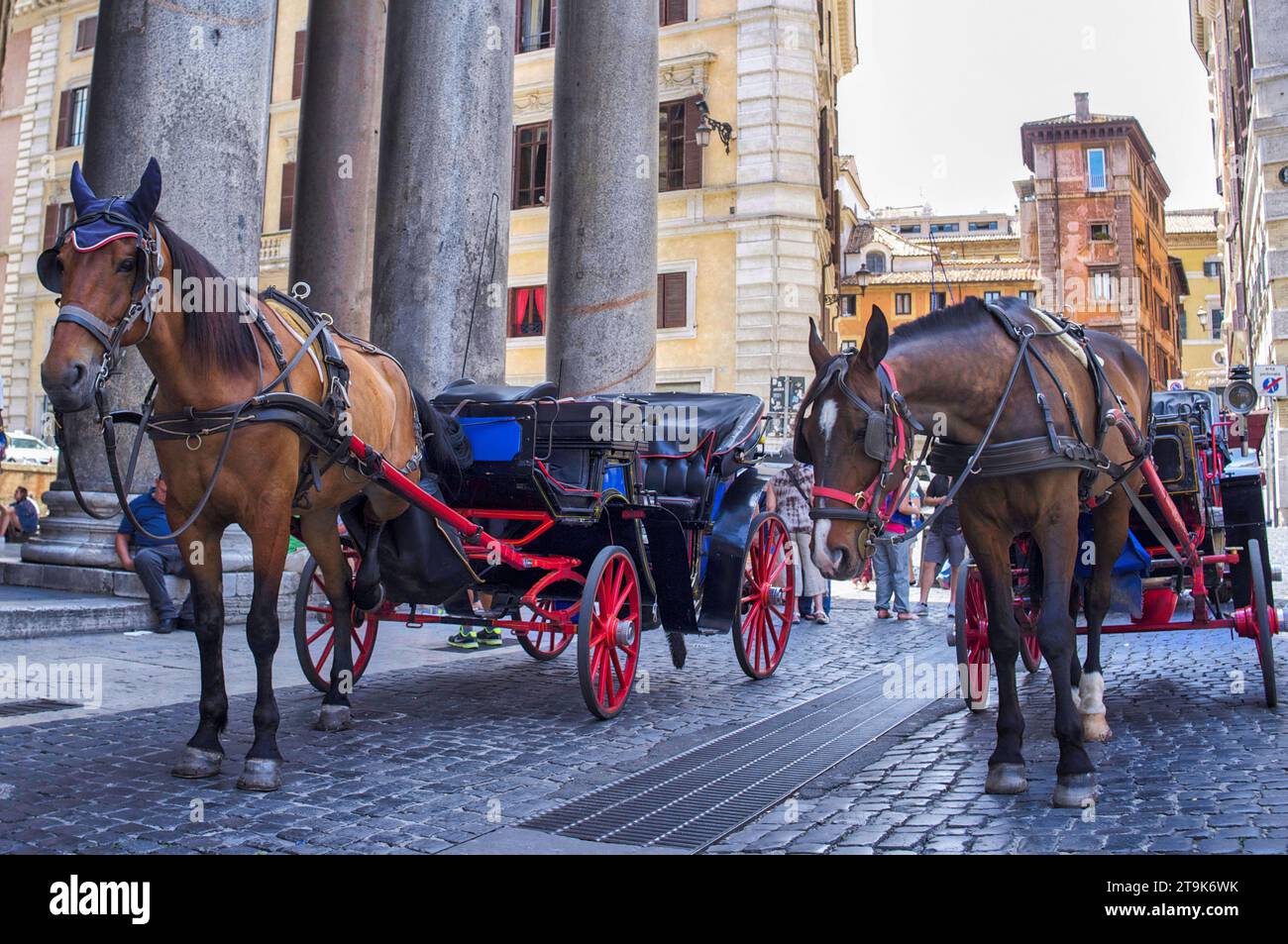 Botticelle horse drawn carriages hi-res stock photography and images ...