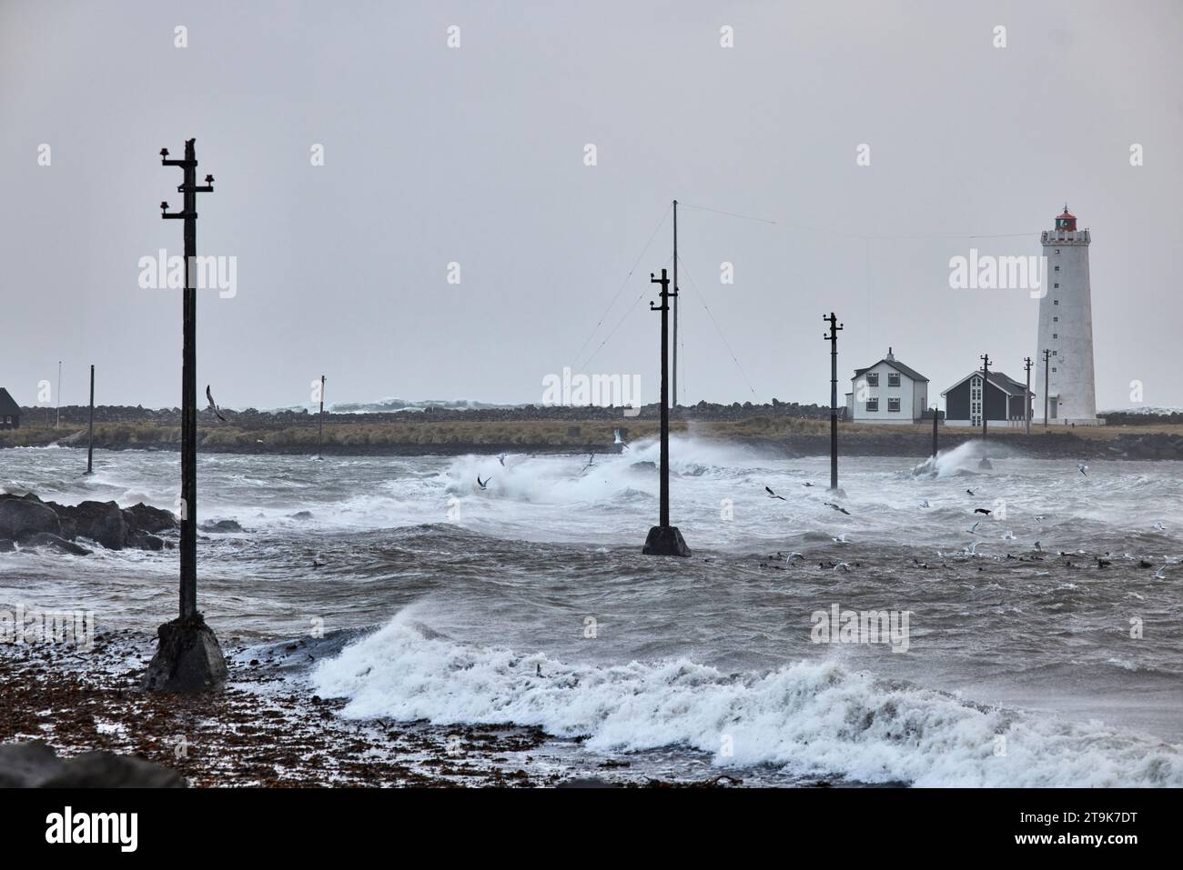 Iceland capital Reykjavík Grótta Island Lighthouse Stock Photo - Alamy
