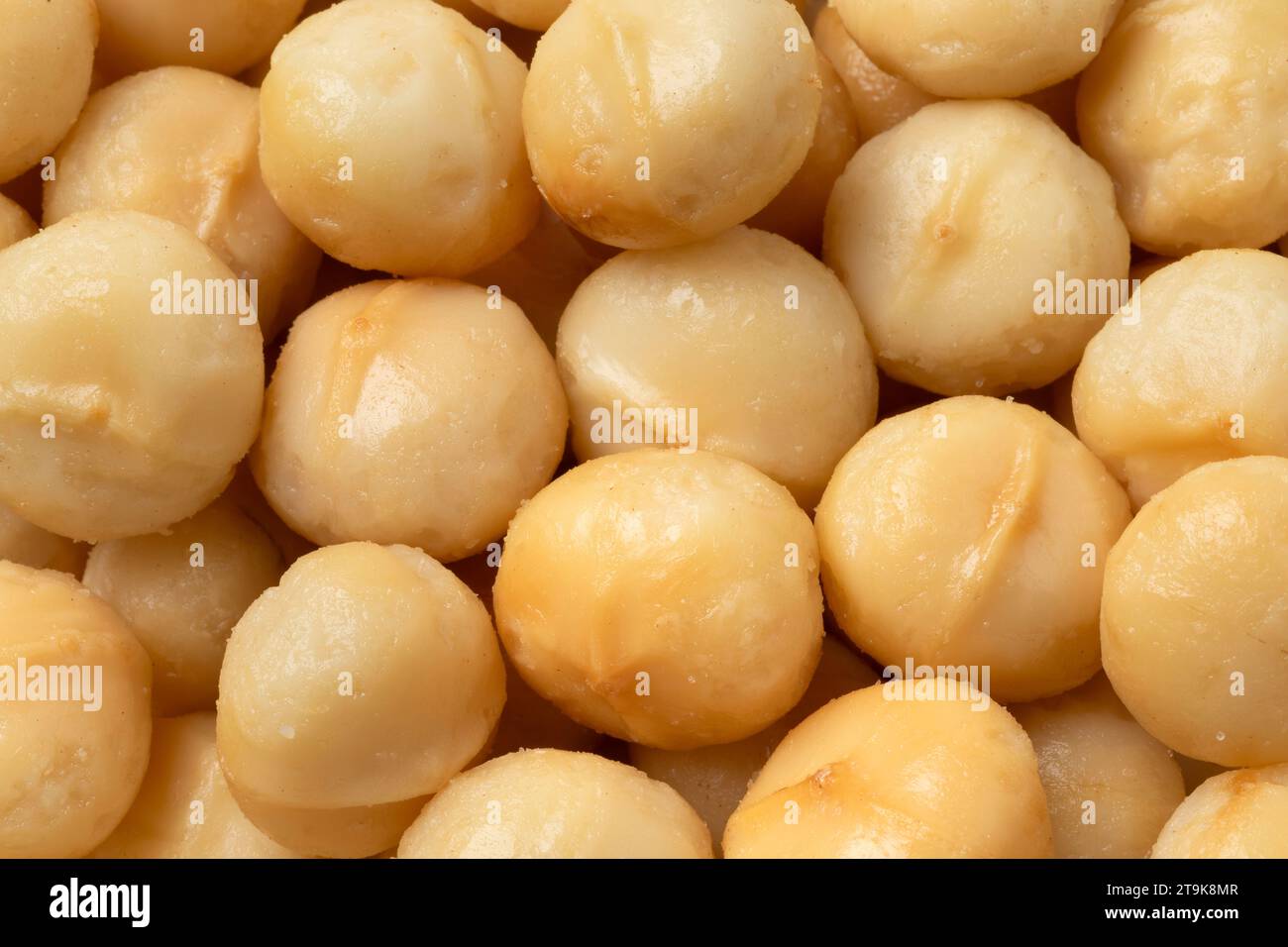Shelled macadamia nuts full frame close up as background Stock Photo ...