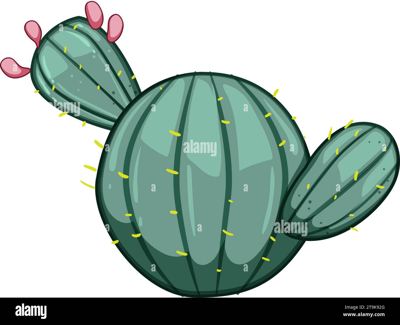 graphic cactus cartoon vector illustration Stock Vector Image & Art - Alamy
