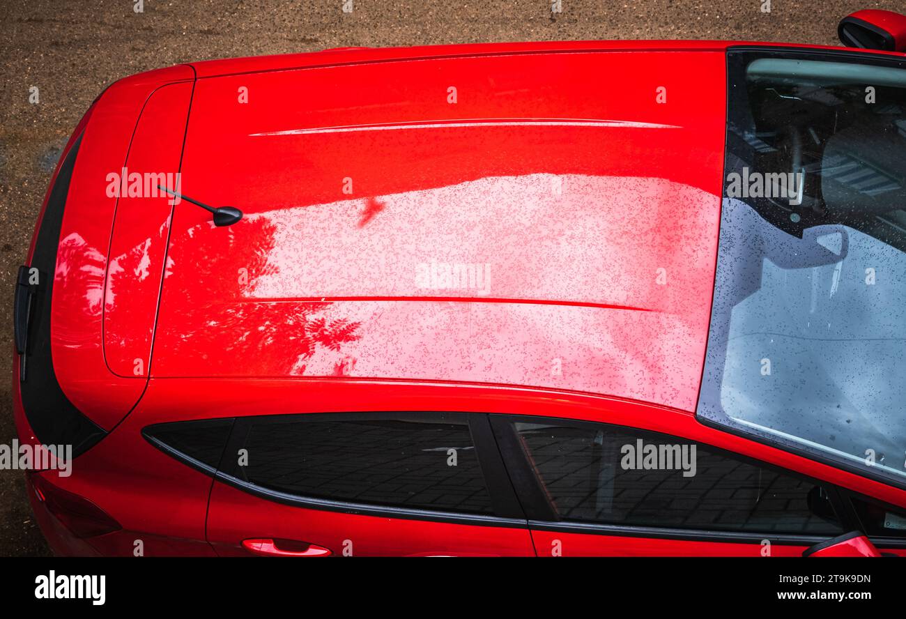 Red generic car top view parked on the street. Hardtop of the red car ...