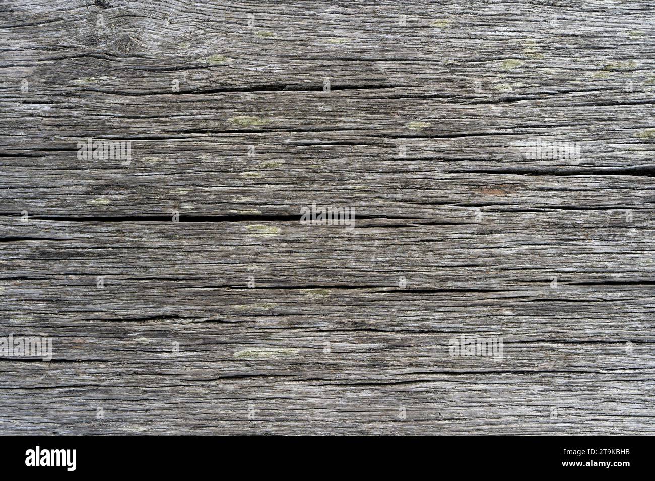 Old wood plank texture background. Light grey surface of wood with ...