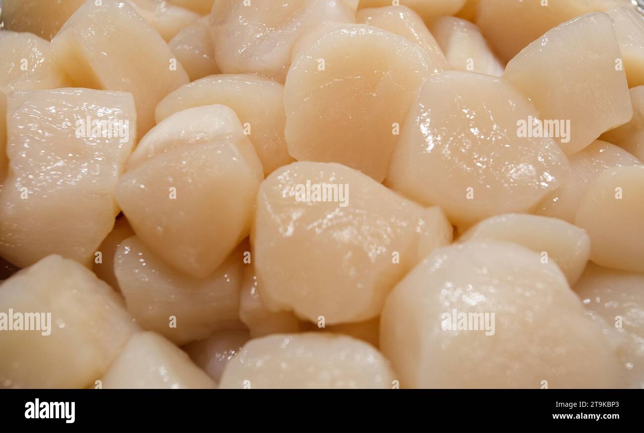 King scallop meat, fresh raw pieces chilled, at the fish market Stock ...