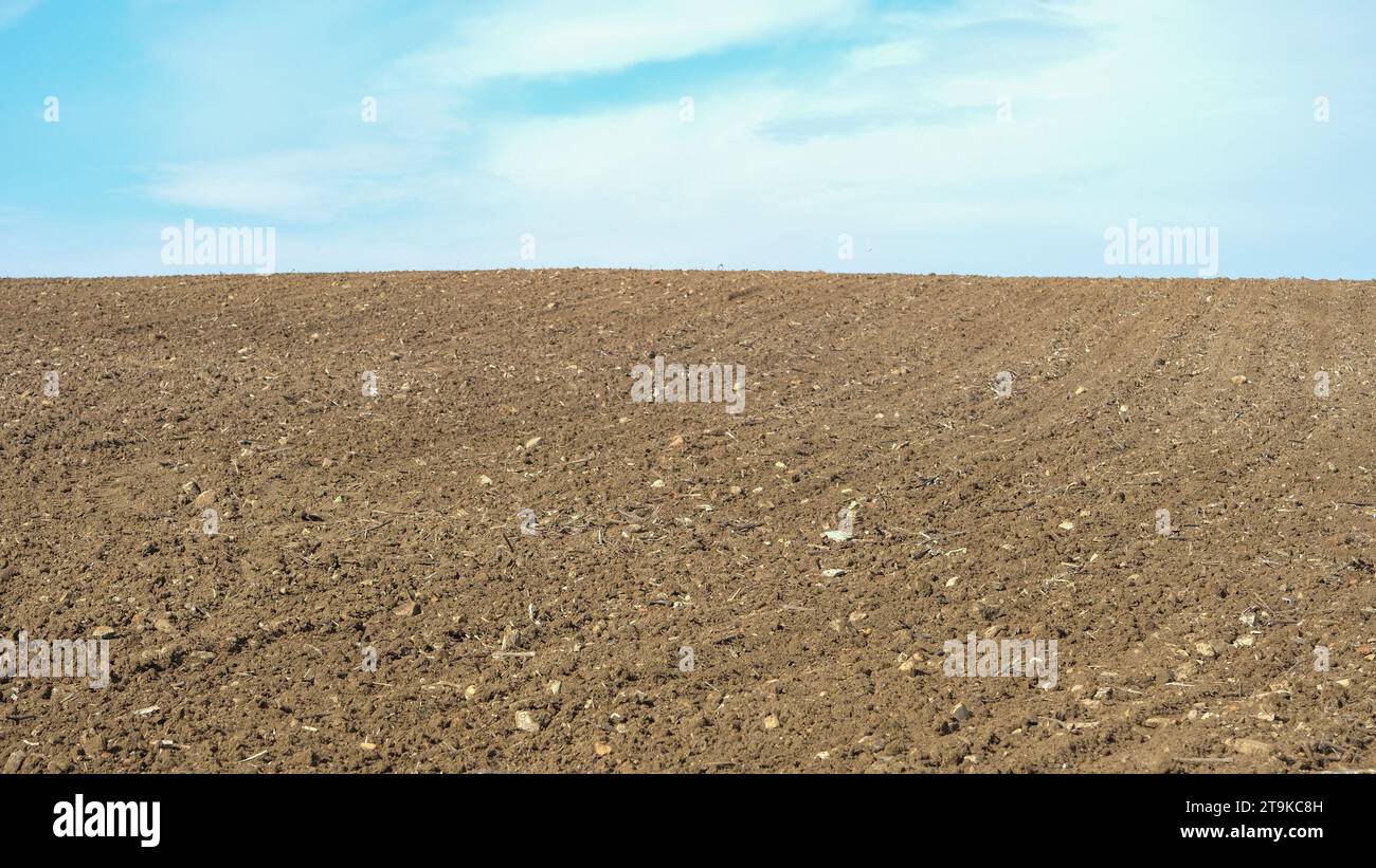 Rural striped summer agricultural hi-res stock photography and images ...
