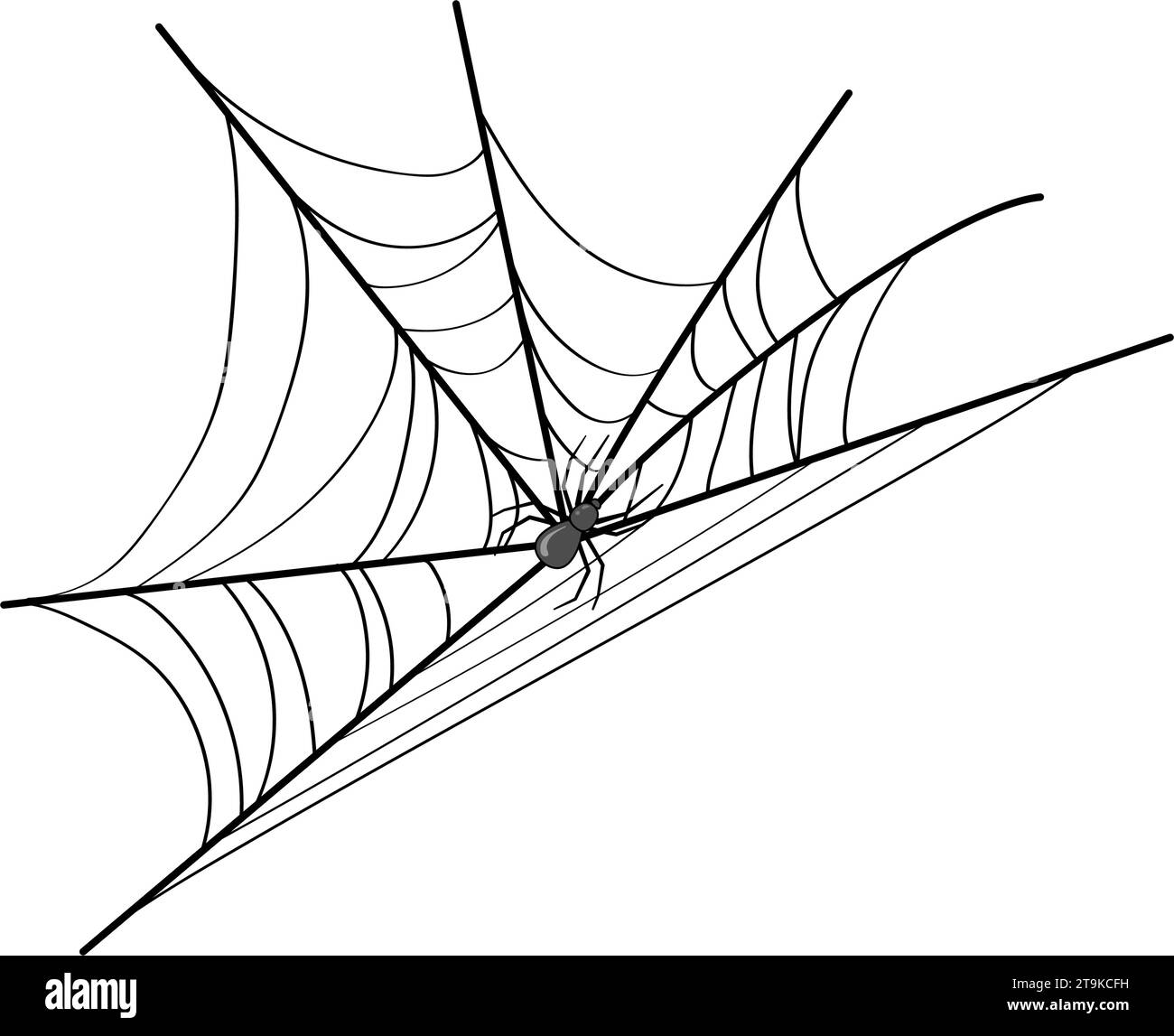 Color cobweb Cut Out Stock Images & Pictures - Alamy